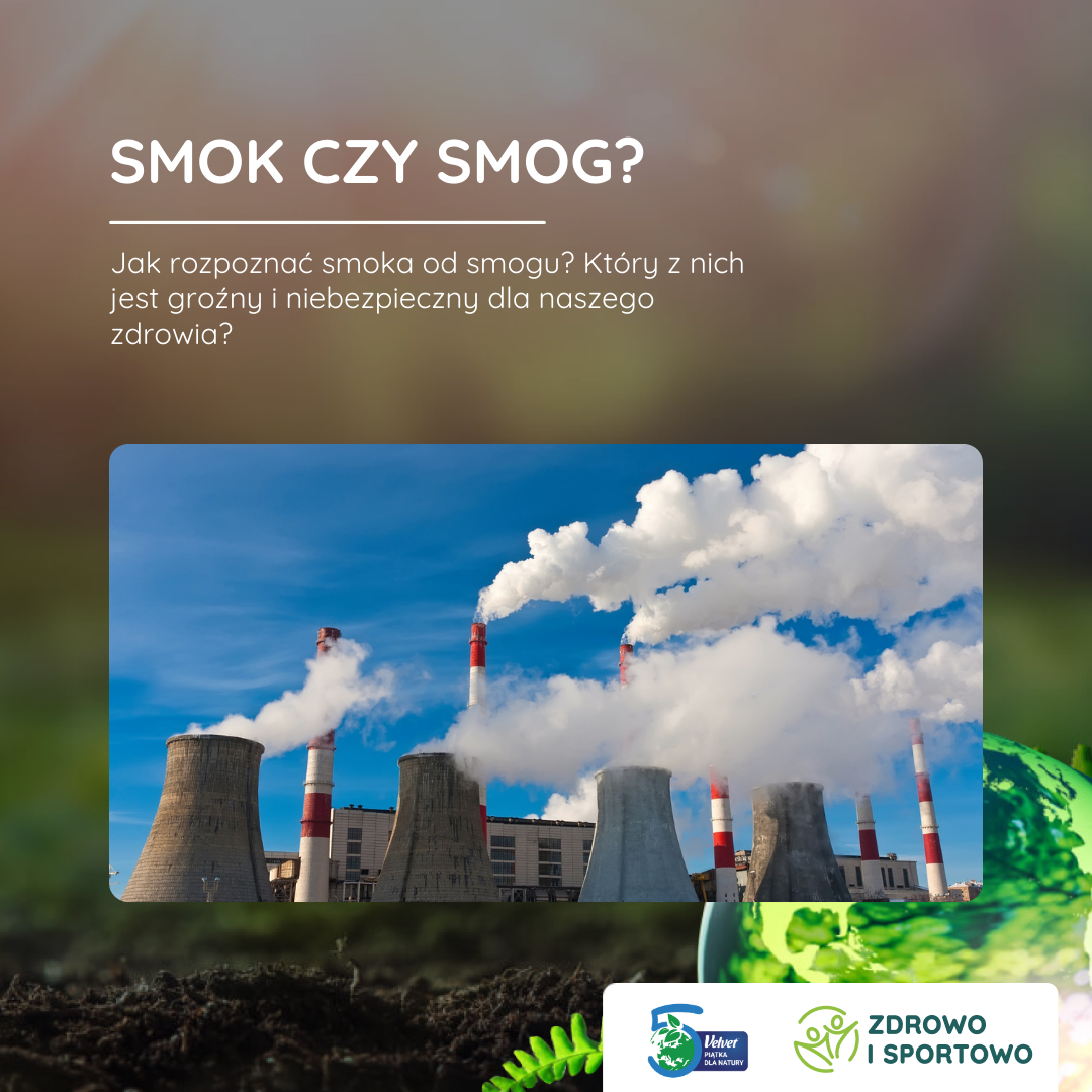 Smok czy smog? - Piątka dla Natury