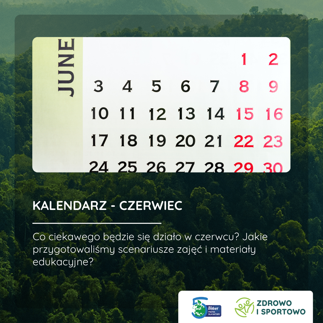 Czerwiec - materiały i wydarzenia - Piątka dla Natury